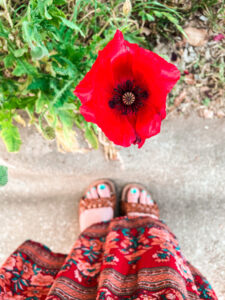 Georgetown: The Red Poppy Capital of Texas - Live Love Local