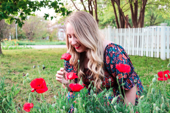 Georgetown: The Red Poppy Capital of Texas - Live Love Local
